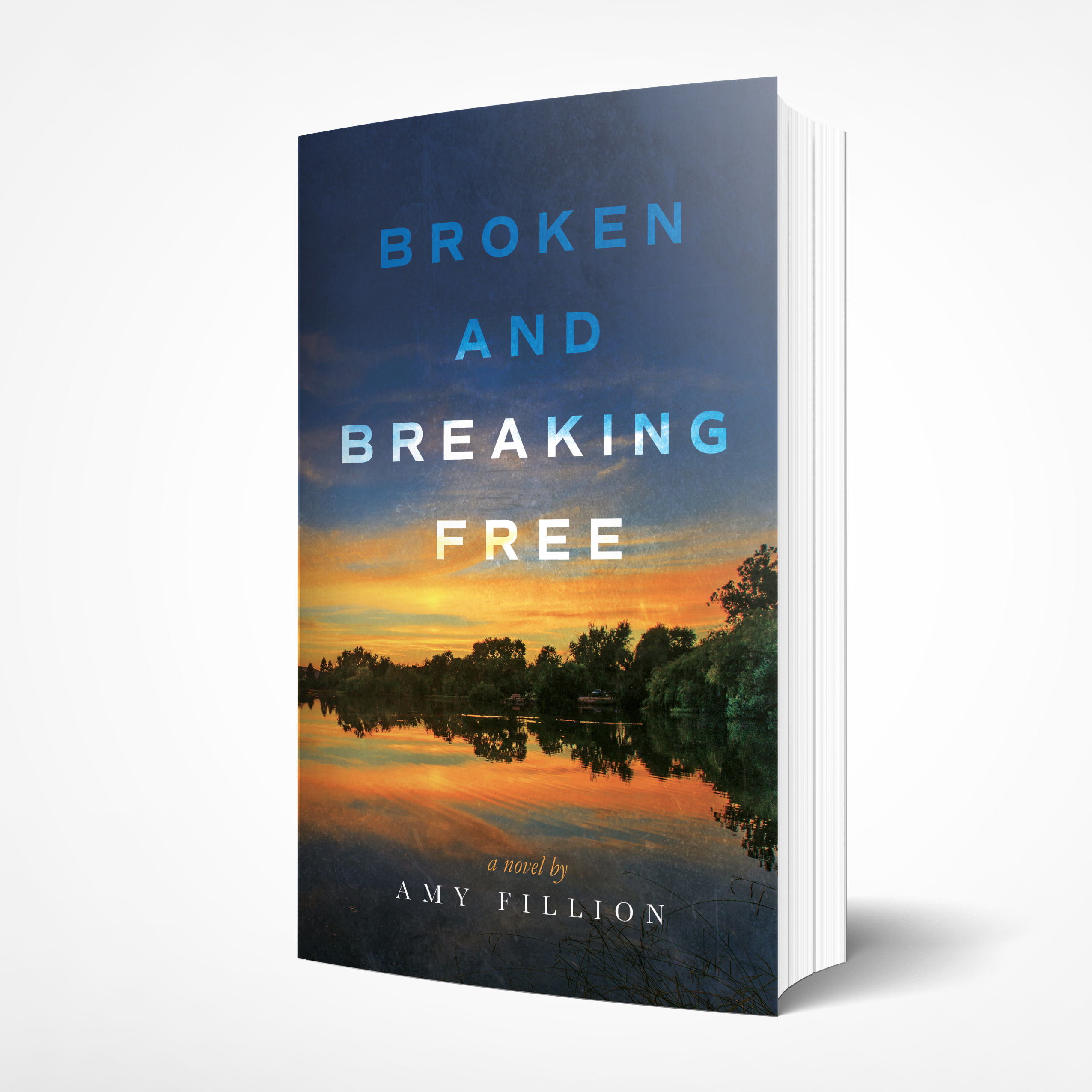 Should You Self-Publish or Traditionally Publish Your Book? – Amy Fillion